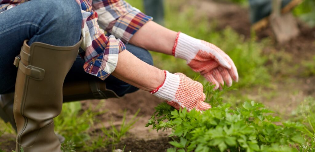Weeding in Utah | Rockin Landscape and Pavers